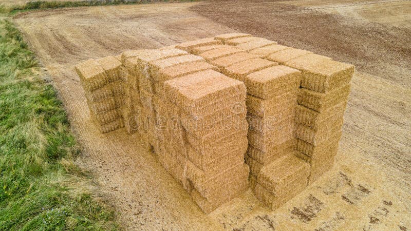Stack of Straw on a Farm Land Stock Photo - Image of haystack, farm ...
