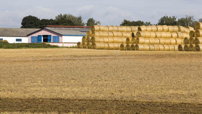 Stack of straw stock image. Image of crib, agriculture - 223364029