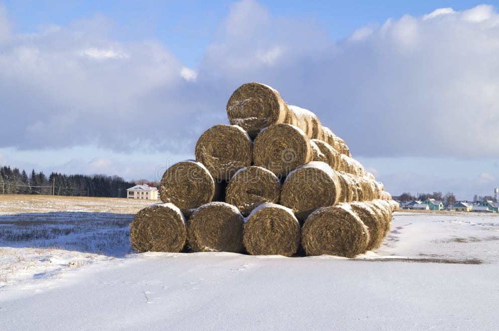 Stack of Straw Round Shape Under the Layer of Snow Stock Photo - Image ...