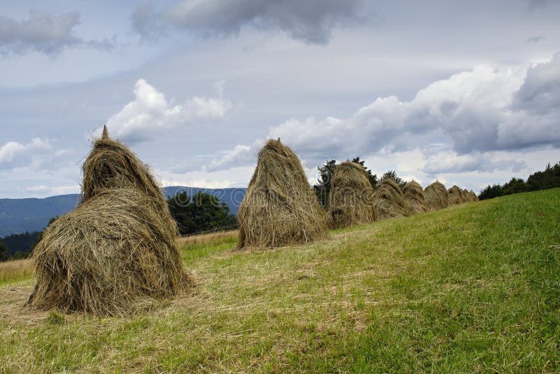 Stack of straw stock image. Image of nature, landscape - 36670267