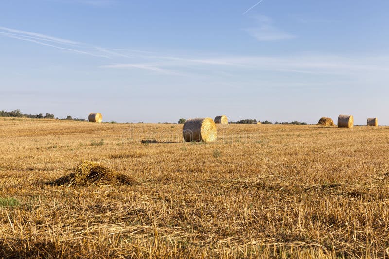 Stack of straw bales stock image. Image of harvesting - 34274379