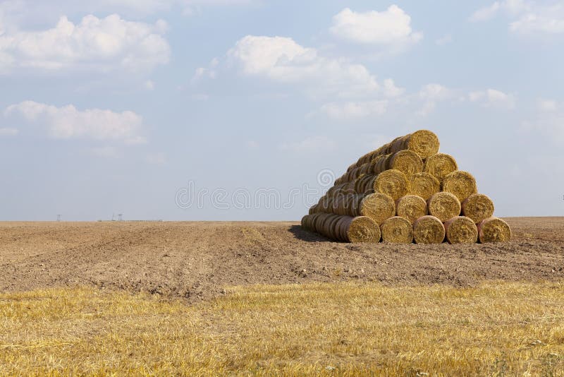 A stack of straw stock photo. Image of barley, oats - 192043772