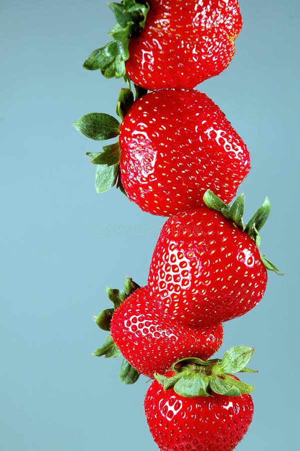 Wild Strawberries stock image. Image of natural, green - 242657