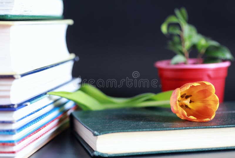A Stack of Textbooks and Books on the Table. the Concept of Knowledge ...