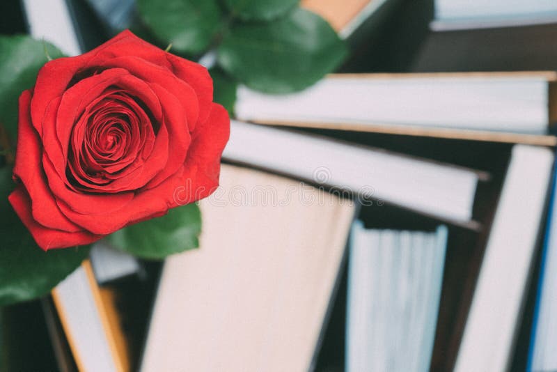 Read with love. stock image. Image of cover, hardback - 141390823