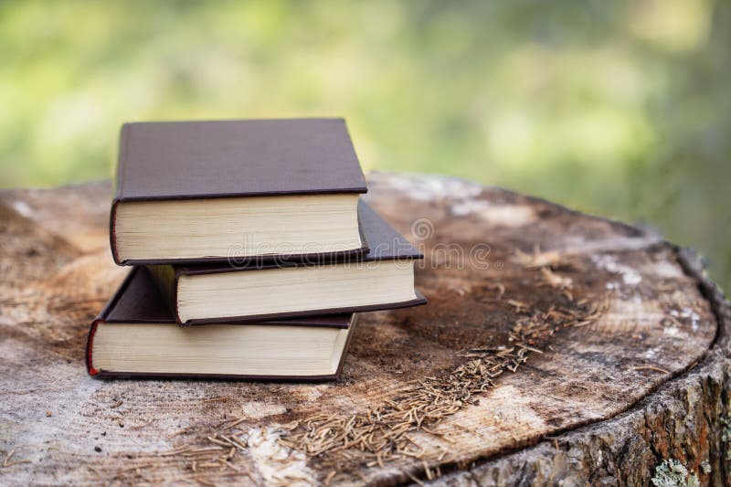Stack of a Three Books on a Large Tree Stump Outdoors Stock Image ...