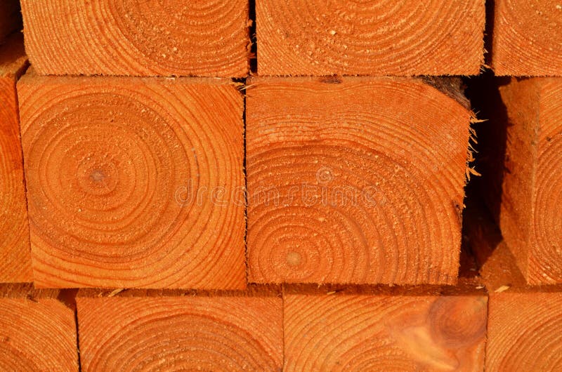 Stack of timber piles stock photo. Image of installation - 38838454