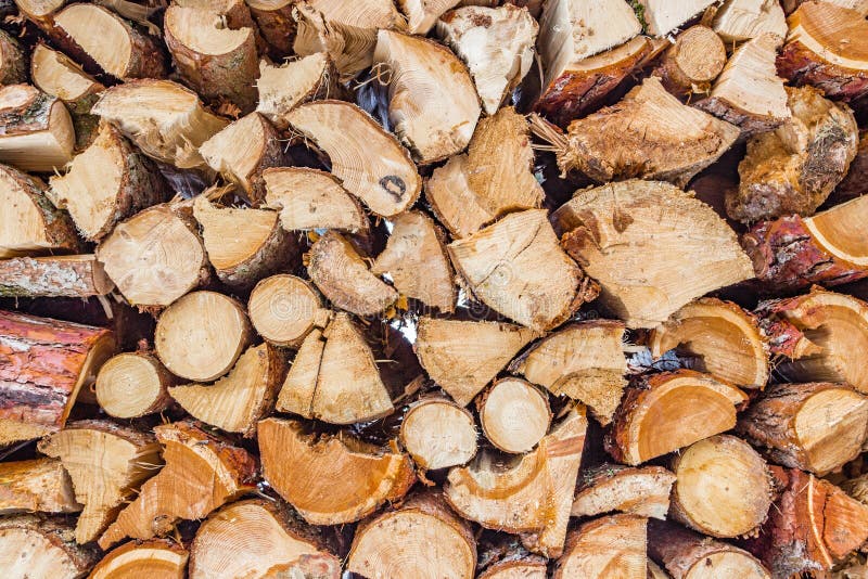 Stack of timber stock image. Image of lumber, color, trunk - 67426413