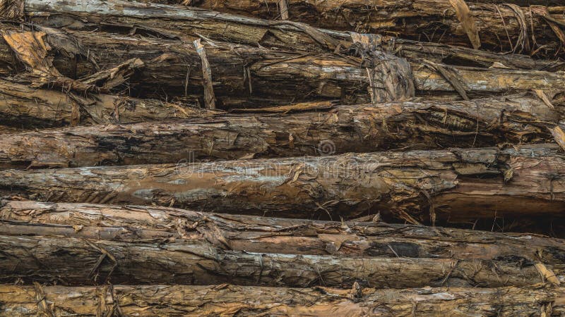 Stack of timber stock photo. Image of yard, resources - 107849196