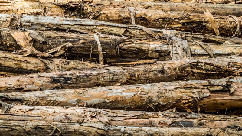 Stack of timber stock photo. Image of forestry, resources - 107849336