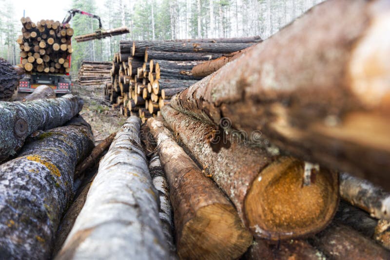 Stack of timber stock photo. Image of loading, pine, wood - 69772716