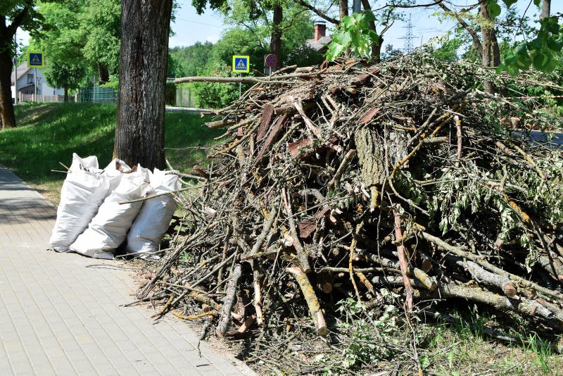Stack of tree branches stock photo. Image of object - 117745994