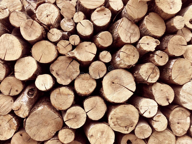Stack of Tree Stump for Background.Firewood Stock Image - Image of ...