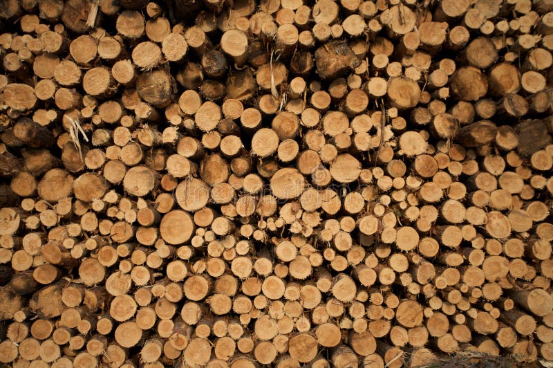Stack of Tree Trunks stock image. Image of continuous - 17580841