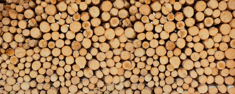 Stack of Tree Trunks. Texture Background Stock Image - Image of ...