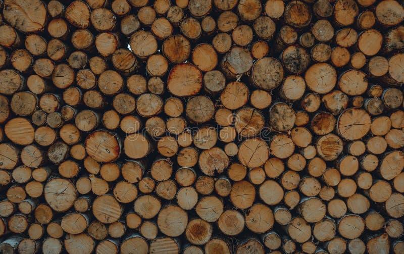 Stack of Tree Trunks. Texture Background Stock Image - Image of ...