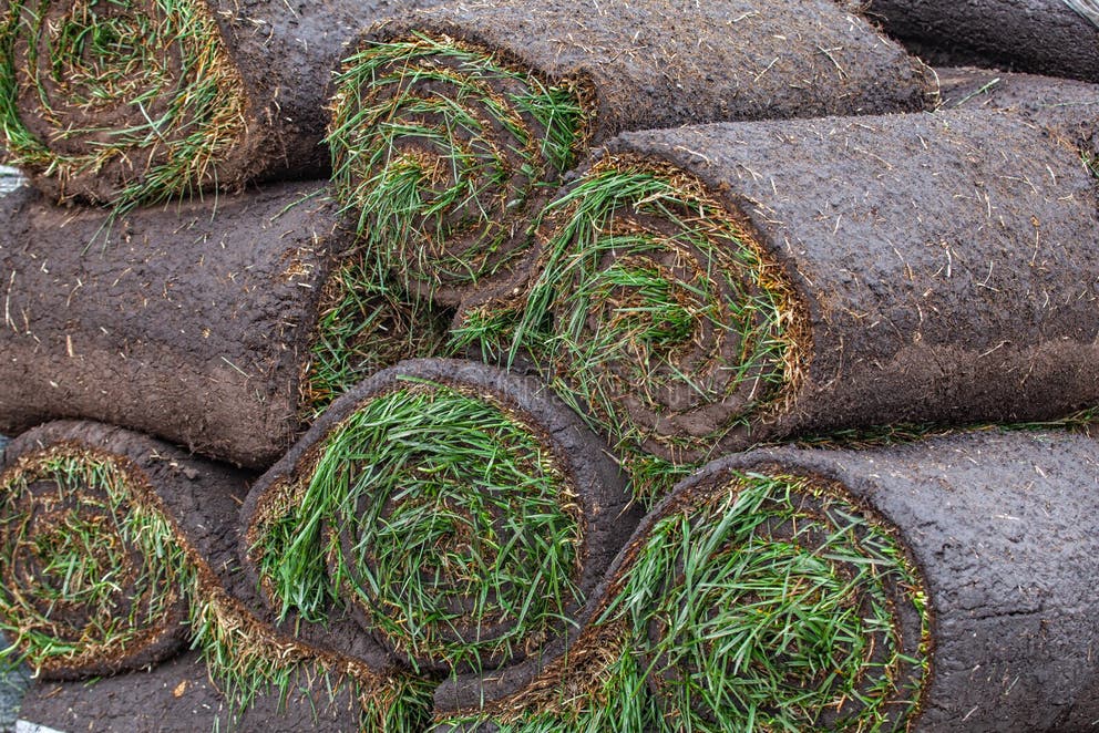 Stack of Turf Grass Roll for Lawn Stock Photo - Image of green, grass ...