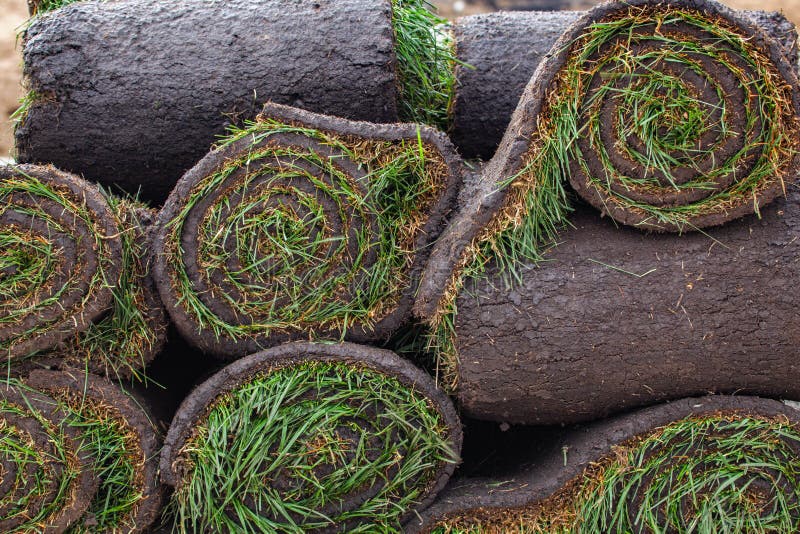 Stack of Turf Grass Roll for Lawn Stock Image - Image of carpet ...