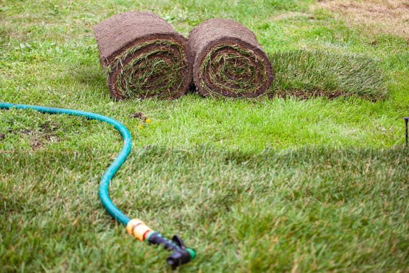 Stack of Turf Grass Roll for Lawn Stock Photo - Image of flora, golf ...