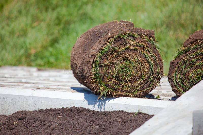 Stack of Turf Grass Roll for Lawn Stock Photo - Image of detail ...