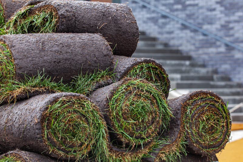 Stack of Turf Grass Roll for Lawn Stock Image - Image of carpet ...