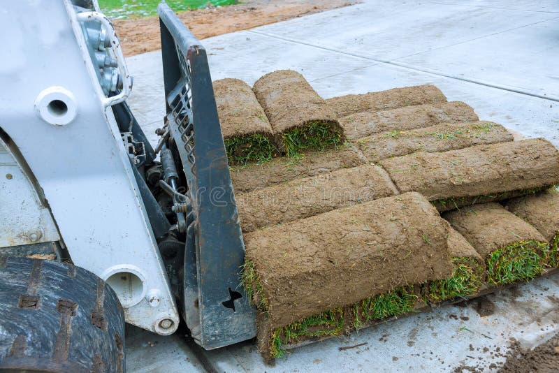 Stack of Turf Grass Rolls for a Lawn Fresh Grass To Decorate Landscape ...