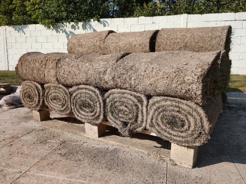 Stack of Turf Grass Rolls for Lawn Meadow Stock Image - Image of garden ...