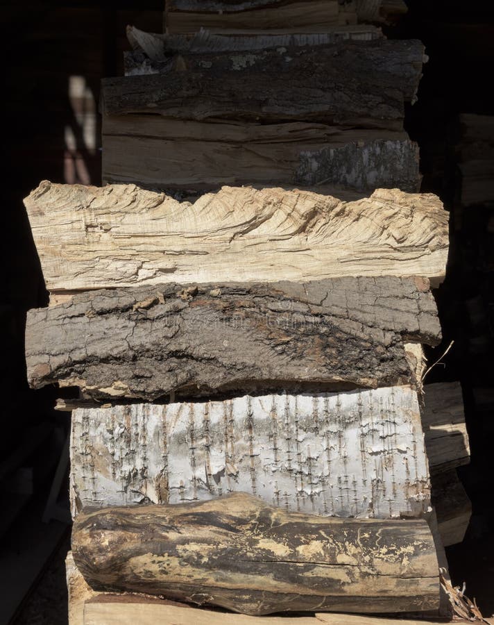 Stack of Unique Firewood Logs Stock Image - Image of wood, logs: 93765343