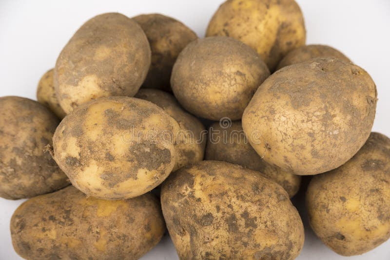 Stack of Unwashed Potatoes on a White Background Stock Photo - Image of ...