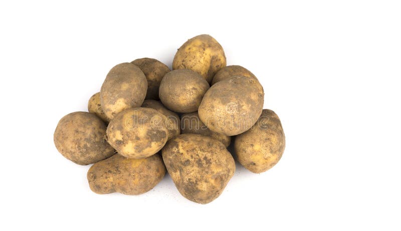 Stack of Unwashed Potatoes on a White Background Stock Image - Image of ...