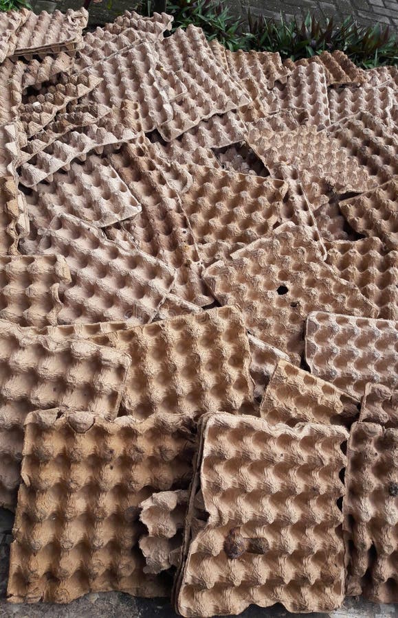 Stack of Used Cardboard Egg Containers Stock Photo - Image of ...