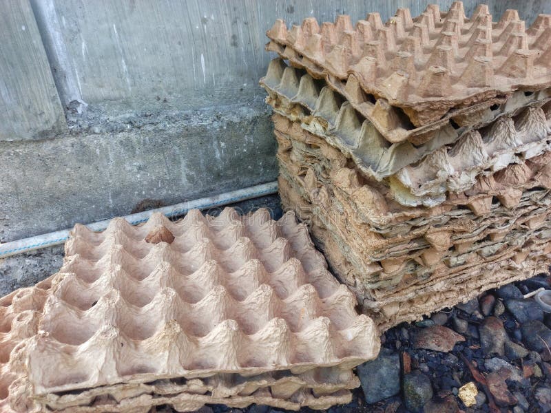 Stack of Used Egg Racks Made from Cardboard Stock Image - Image of case ...