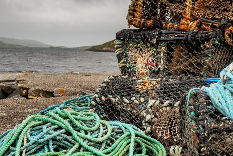 Stack of raw fish stock photo. Image of close, heap, closeup - 79966174