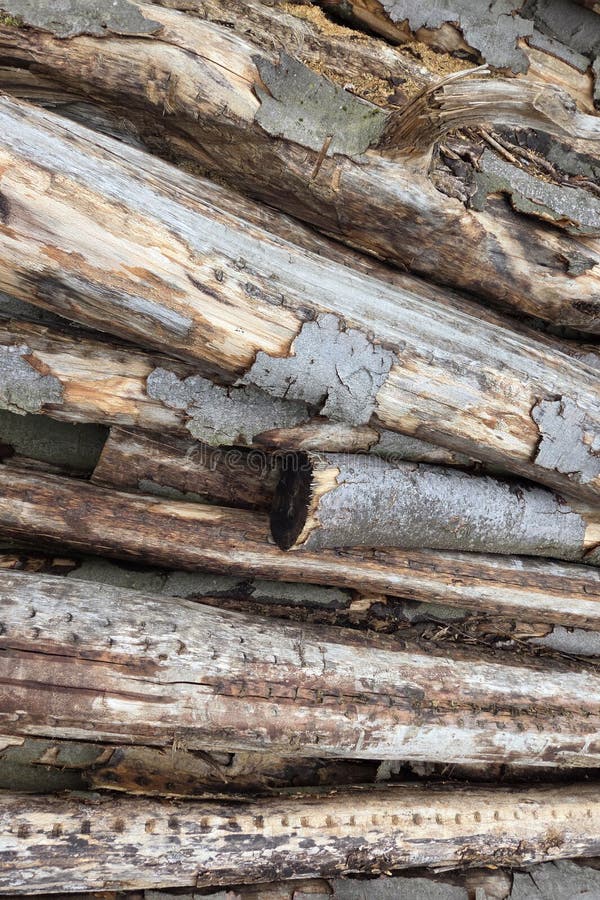 Stack Weathered Logs Natural Bark Patterns Rustic Design Stock Photos ...