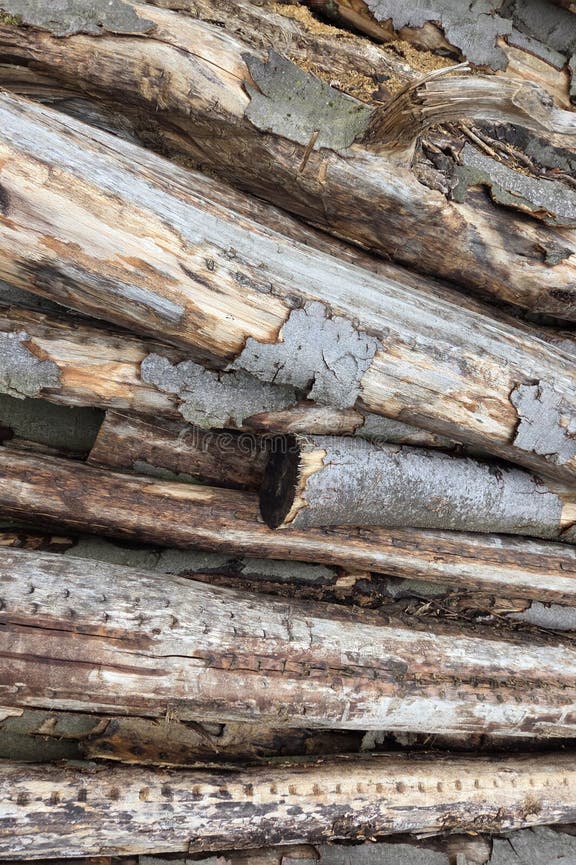 Stack of Weathered Logs with Natural Bark Patterns for Rustic Design ...