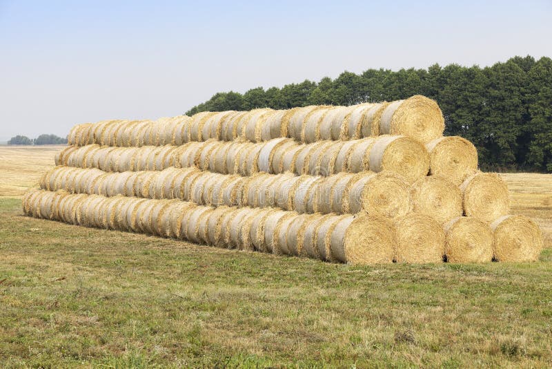 Stack of wheat straw stock image. Image of farm, plant - 70587847