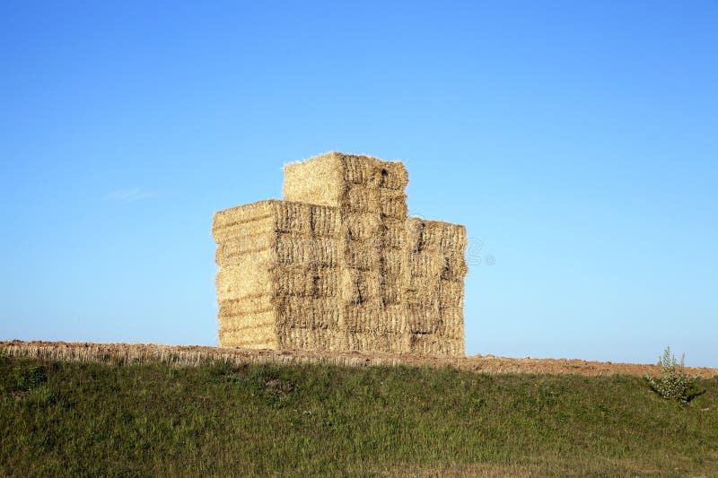Stack of wheat straw stock image. Image of rolled, industry - 73978087