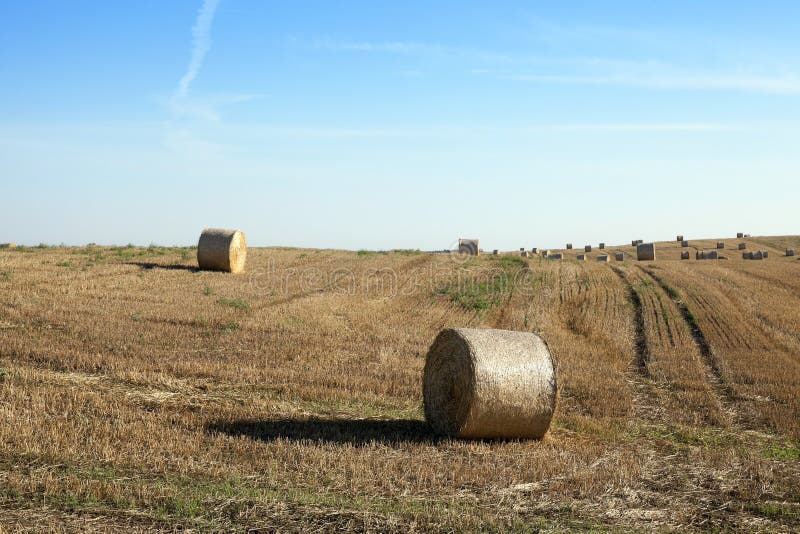 Stack of wheat stock image. Image of haystack, farmland - 121750531