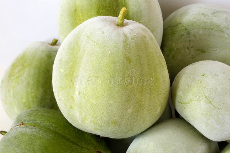 Winter Melon (white Gourd) Flower Stock Photo - Image of gourd, color ...
