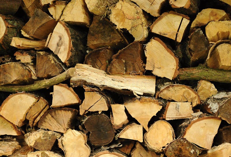 Stack of wood stock image. Image of outdoor, tree, woodstack - 21517203