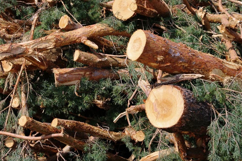 Stack of wood stock photo. Image of fire, burn, pattern - 26468418