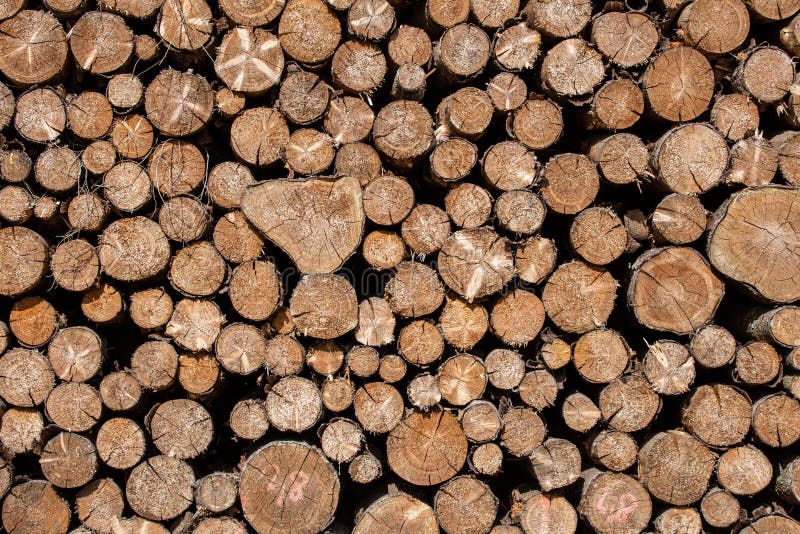 Stack of Wood - Backgrounds of Timbers Stock Image - Image of grunge ...