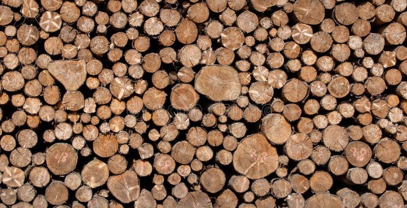 Stack of Wood - Backgrounds of Timbers Stock Photo - Image of surface ...