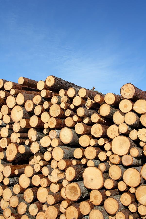 Stack of Wood Fuel by Forest Road Stock Photo - Image of logging ...