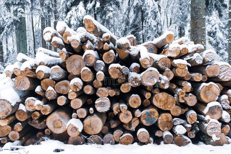 Winter Wonderland Logs Snowy Stack Timber Forest Stock Photos - Free ...