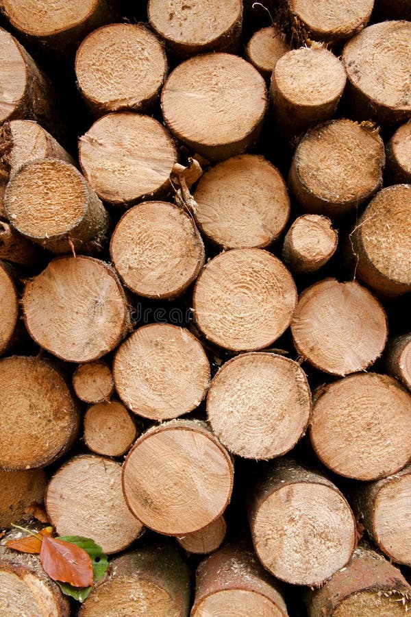 Stack of wood stock photo. Image of heat, forest, closeup - 80907056