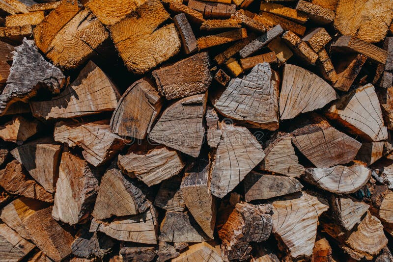 Stack of wood stock photo. Image of material, plant, chop - 98636280
