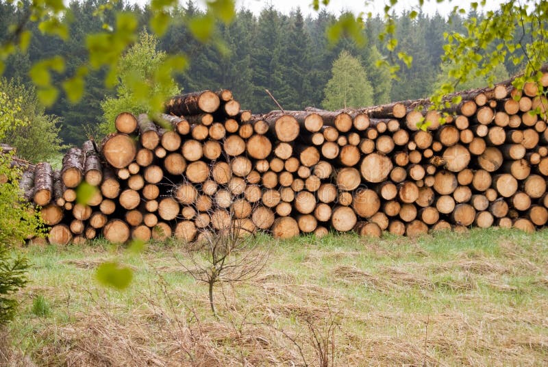 Stack of Wood stock image. Image of wilderness, national - 39618577