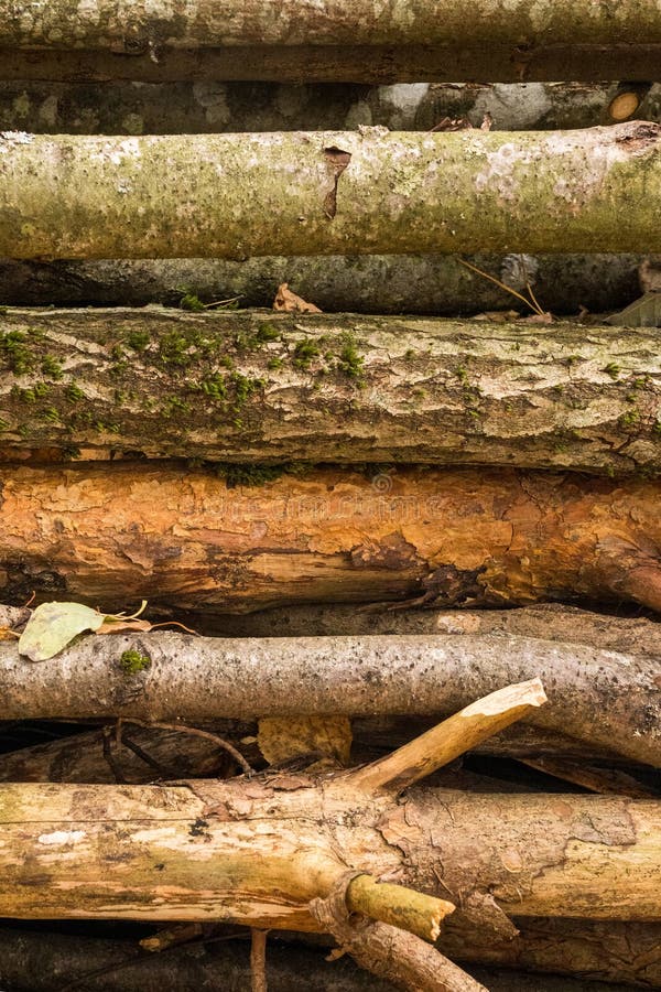 Stack of wood logs stock photo. Image of heating, brown - 343478814