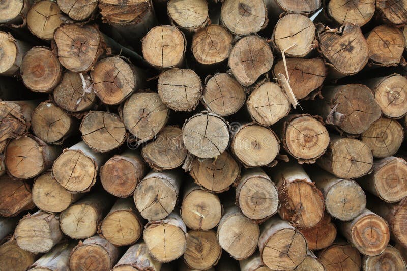 Stack of wood logs texture stock photo. Image of fire - 56689706